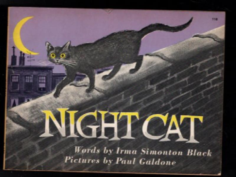 Night Cat